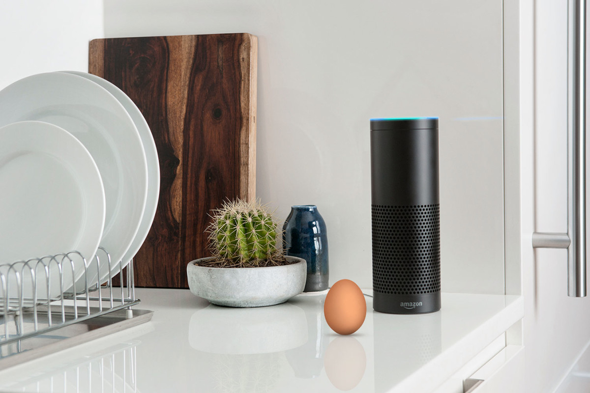 Amazon Echo: A Wireless Speaker or A Voice Command Device